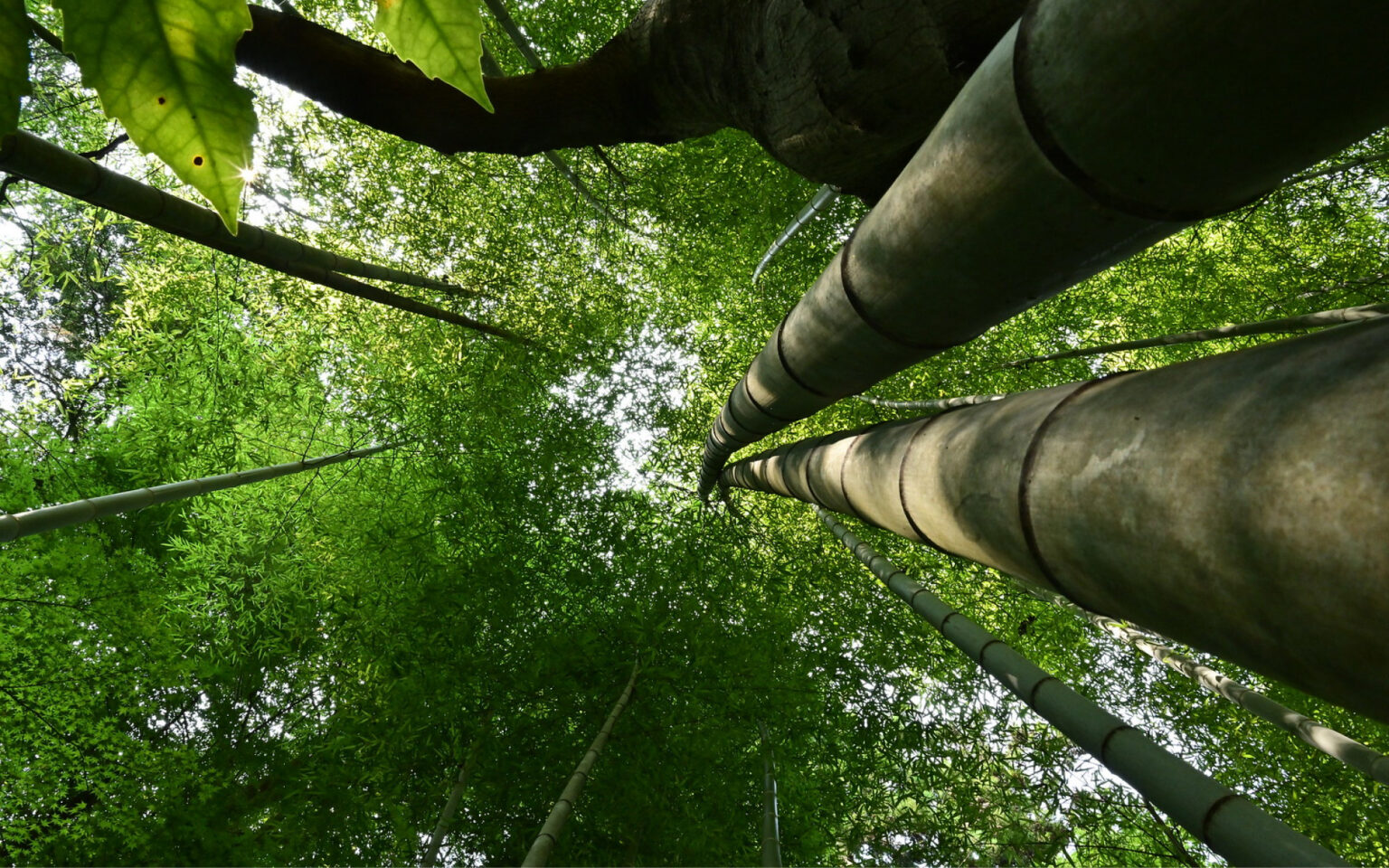 7 .art domains to inspire your clients | OpenSRS